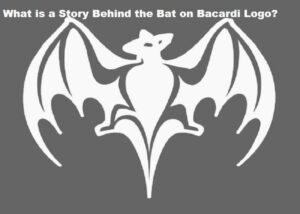 What is a Story Behind the Bat on Bacardi Logo? - HimachalPradeshTimes